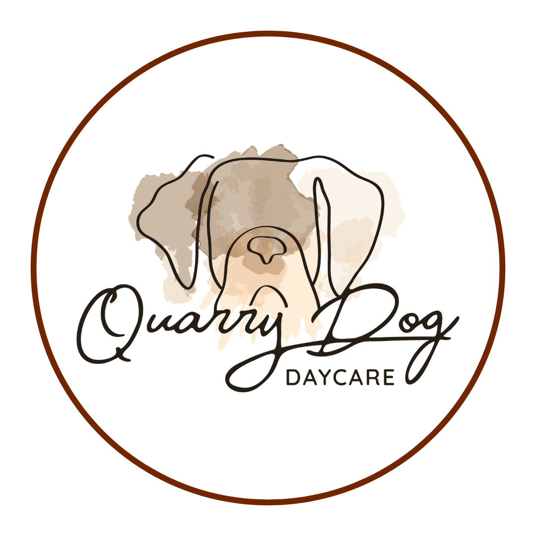 Quarry Dog Etc. – Dog Daycare & Pet Boutique