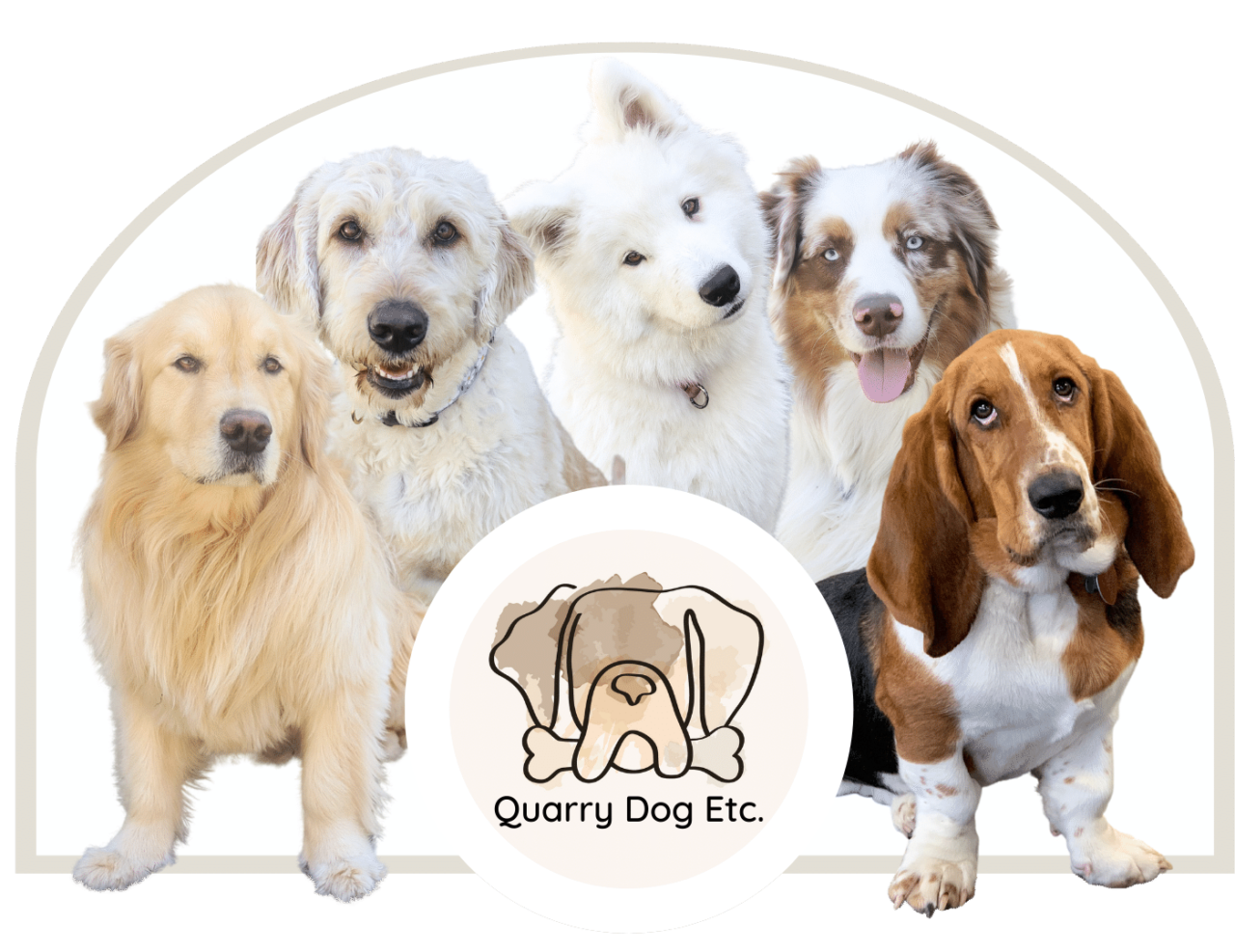Quarry Dog Etc. – Dog Daycare & Pet Boutique